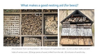 OER_wildbees_nestingaid_presentation.pdf