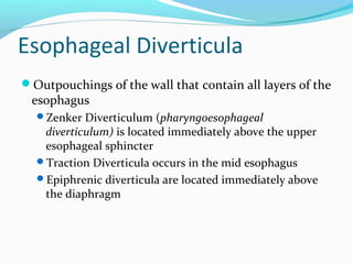 OESOPHAGUS PATHOLOGY | PPT