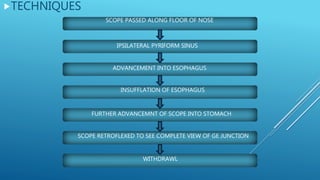 Oesophagoscopy | PPTX