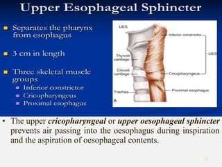 OESOPHAGUS ANATOMY AND PHYSIOLOGY BY BRISSO ARACKAL PPT OESOPHAGUS ANATOMY AND PHYSIOLOGY BY BRISSO ARACKAL PPT