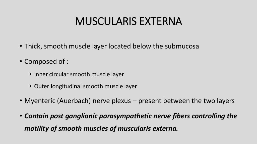 Oesophagus and Stomach.pptx