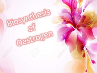 Oestrogen | PPTX