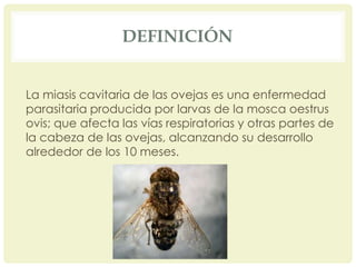 OESTROSIS | PPTX