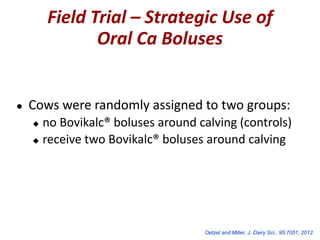 Treatment and Prevention of Subclinical Hypocalcemia | PPTX