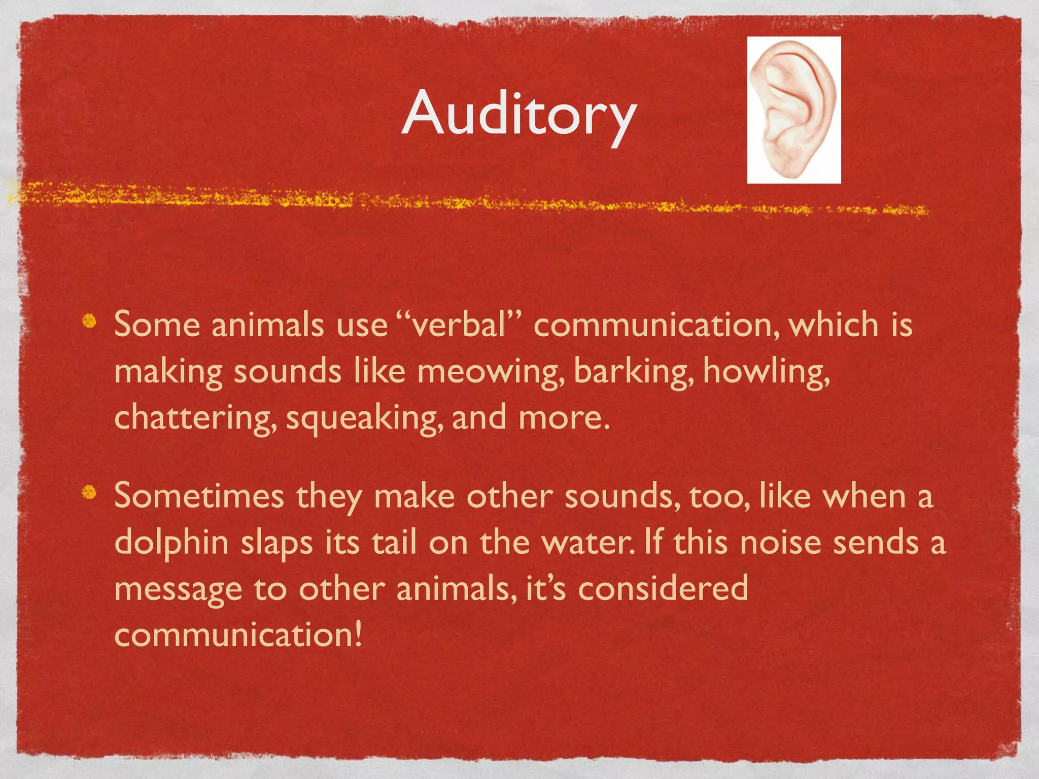 Animal Communication | PPT