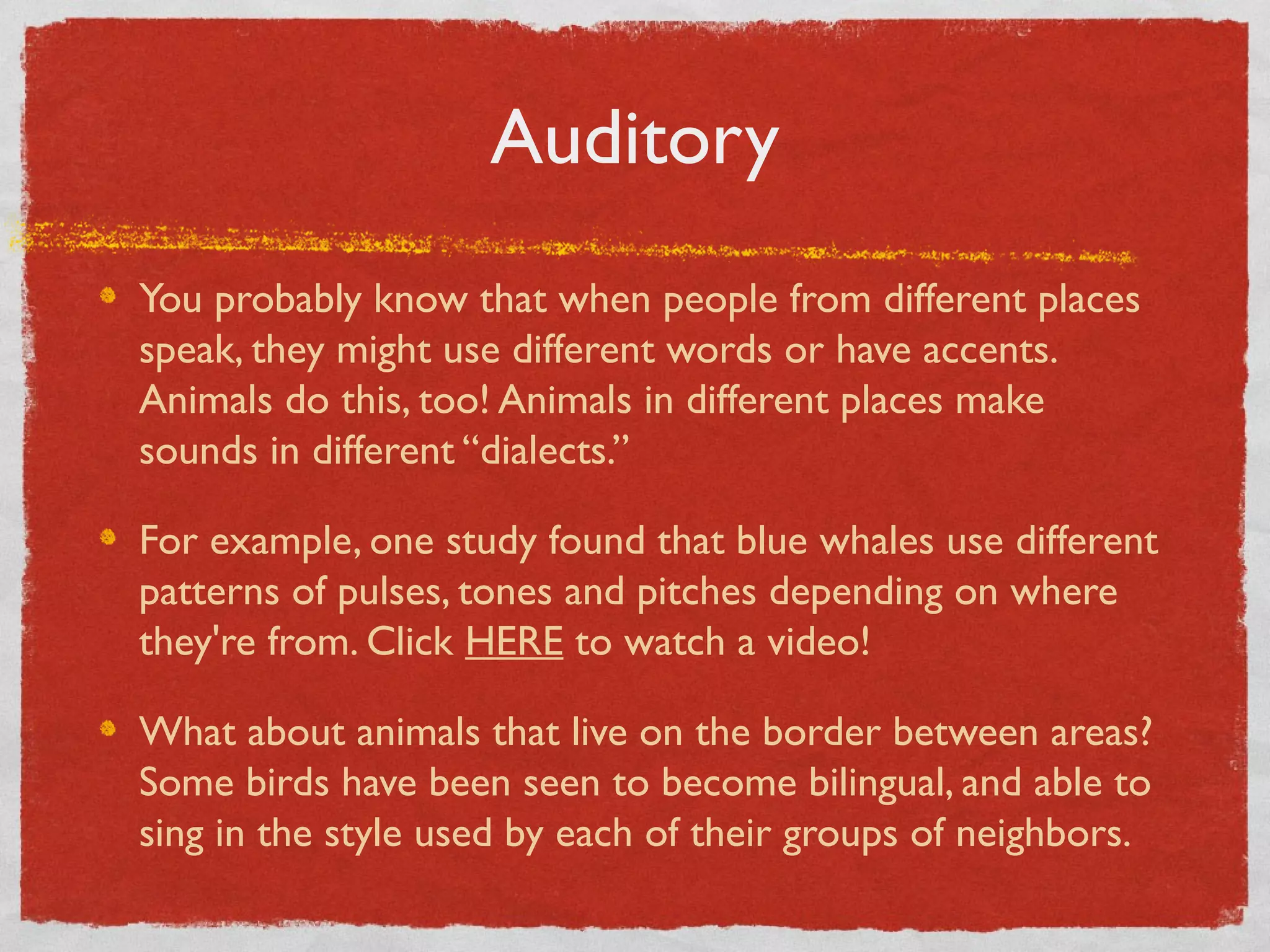 Animal Communication | PPT