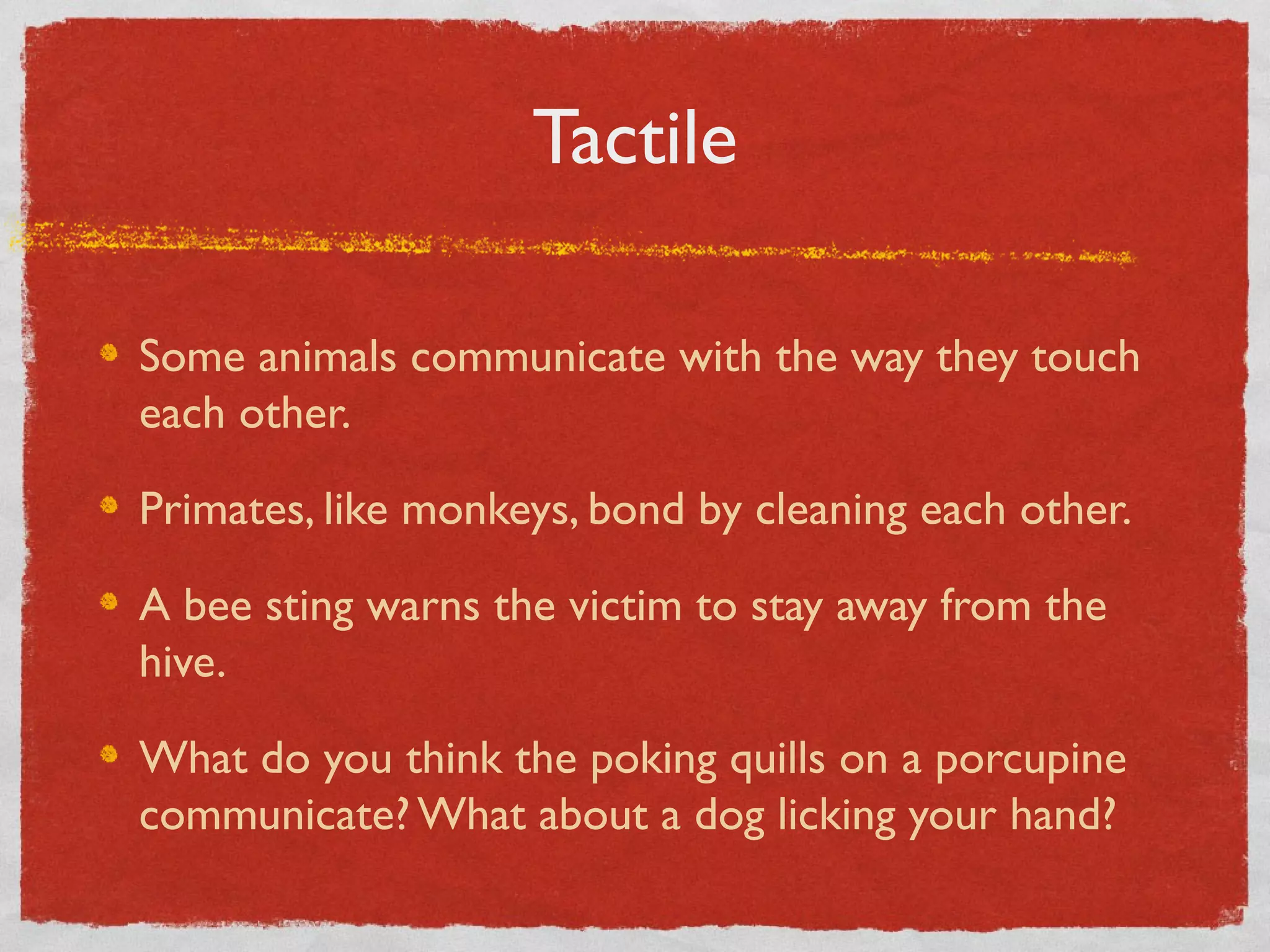 Animal Communication | PPT