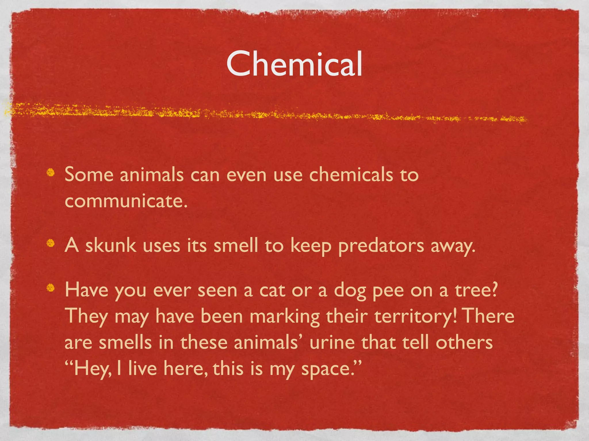 Animal Communication | PPT