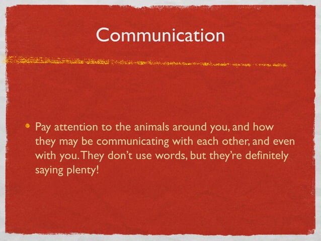 Animal Communication | PPT