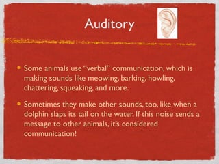 Animal Communication | PPT