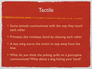 Animal Communication | PPT