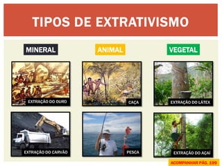 O extrativismo | PPT