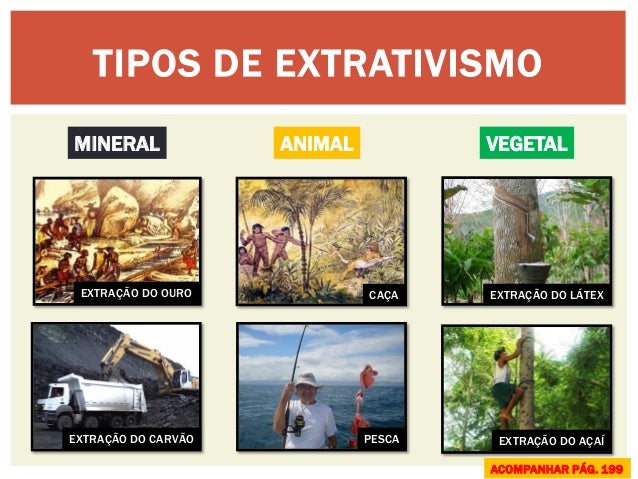 O extrativismo