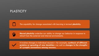 OFALCTORY SYSTEM FROM NOSE TO THE BRAIN SLIDE REVISED .pptx
