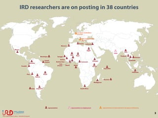 Presentation of IRD in Vietnam | PPT