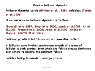 Buffalo Follicular Dynamics | PPTX