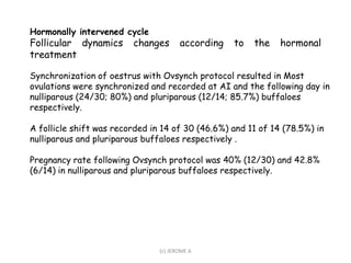 Buffalo Follicular Dynamics | PPTX