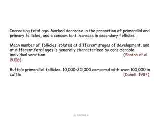 Buffalo Follicular Dynamics | PPTX