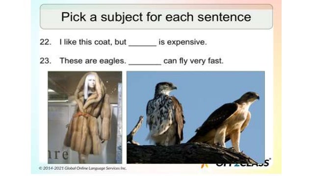 How To Teach Subject Pronouns: An Introductory ESL Lesson Plan | PPTX