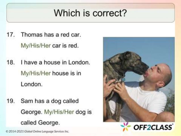 How To Teach Possessive Adjectives In A Fun Way - ESL Lesson Plan | PPTX