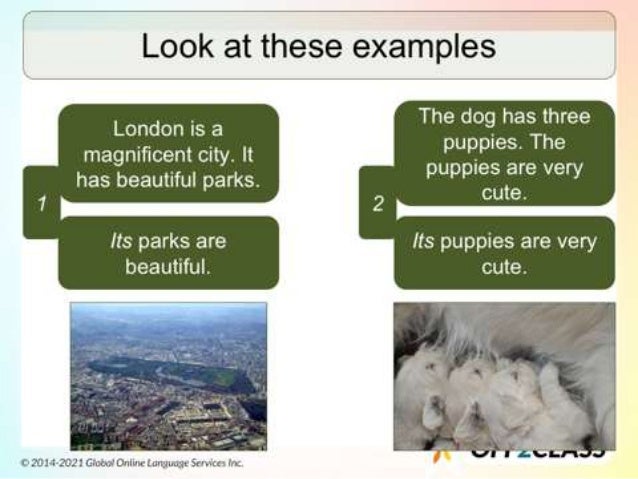 How To Teach Possessive Adjectives In A Fun Way - ESL Lesson Plan | PPTX