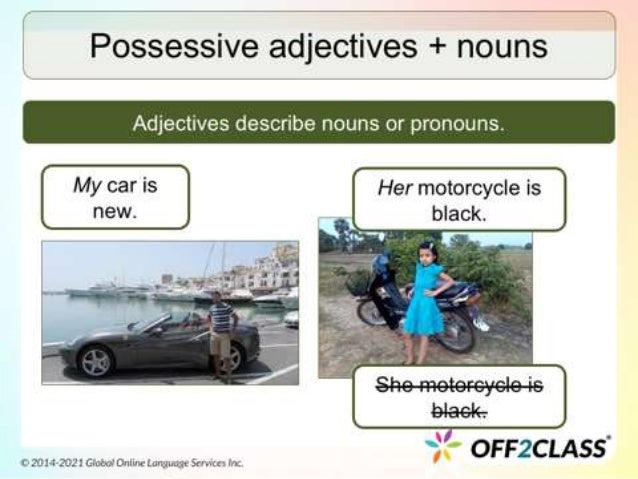 How To Teach Possessive Adjectives In A Fun Way - ESL Lesson Plan | PPTX