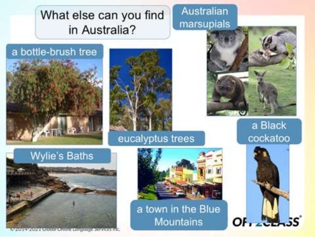 Life In Australia: A Free ESL Lesson Plan | PPTX