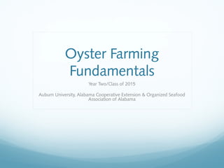 Oyster Farming Fundamentals Class One | PPT
