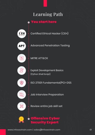 Offensive cyber security engineer updated | PDF