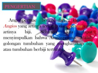 angiospermae | PPT