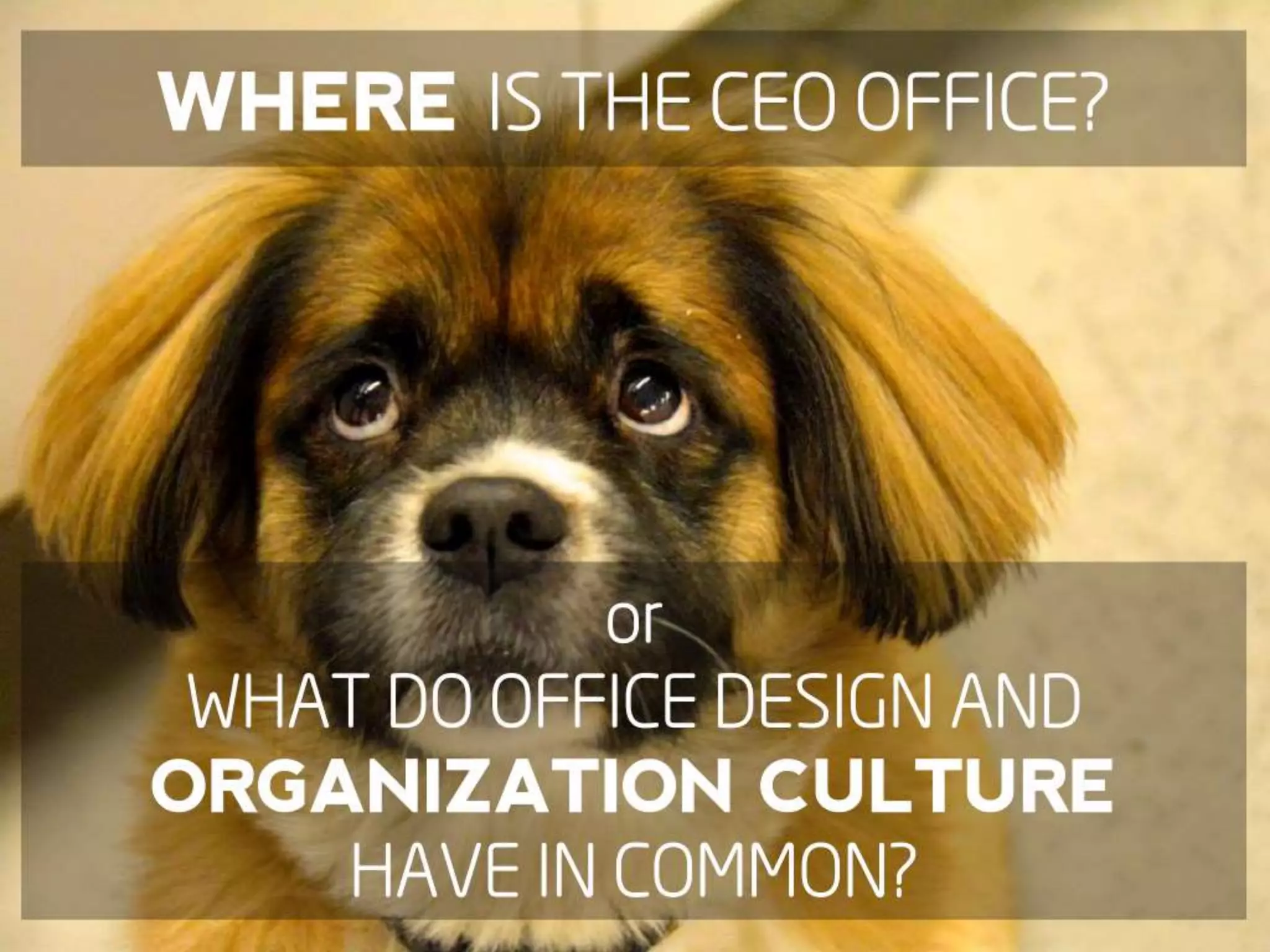 Where is the CEO Office? | PPTX