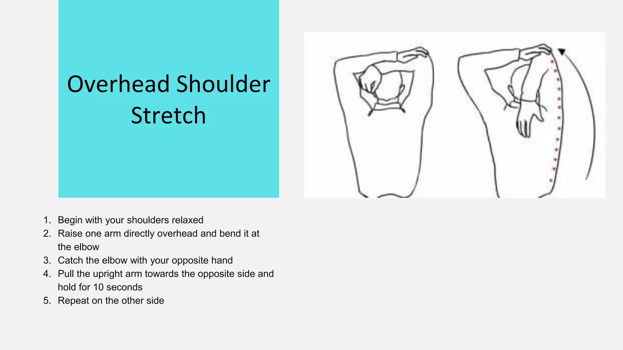 Office ergonomics 101- Best Practices You Need to Follow Today | PDF