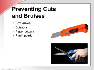 Office Health and Safety Hazards | PPT