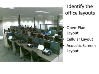 Office layouts powerpoint | PPTX