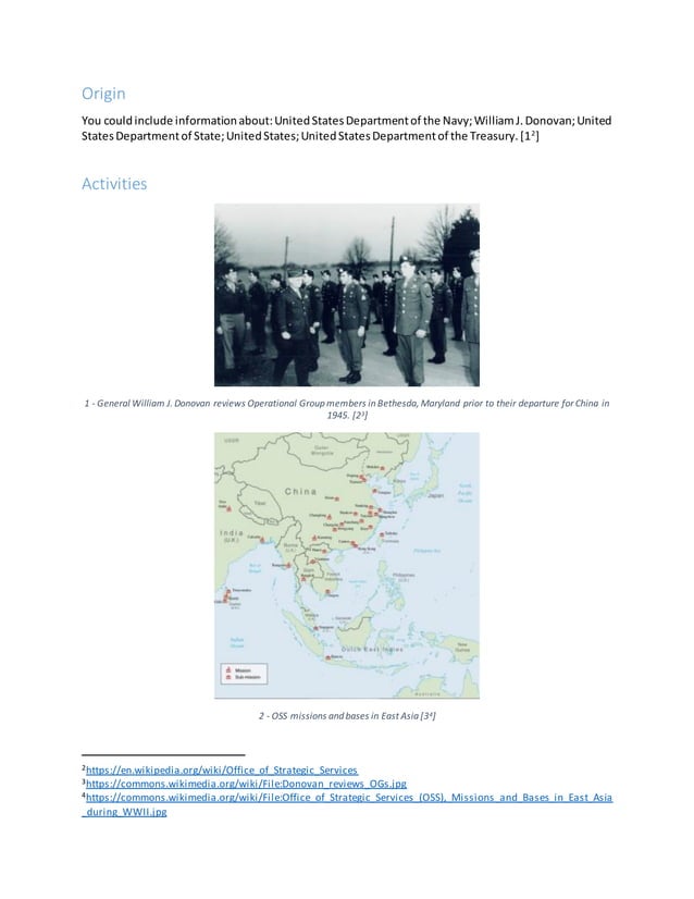 Office of strategic services | PDF