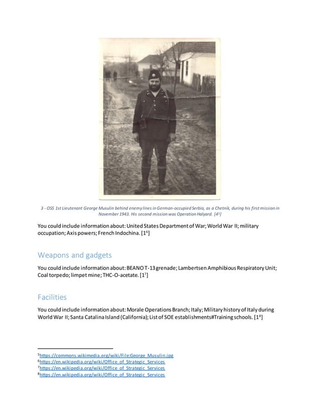 Office of strategic services | PDF
