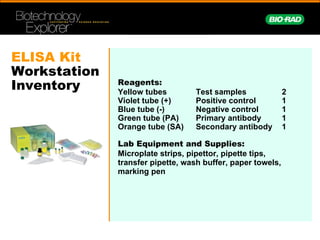 Official Elisa Powerpoint | PPT