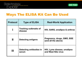 Official Elisa Powerpoint | PPT | Free Download