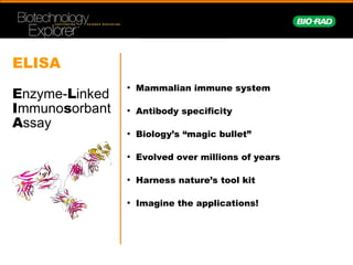 Official Elisa Powerpoint | PPT