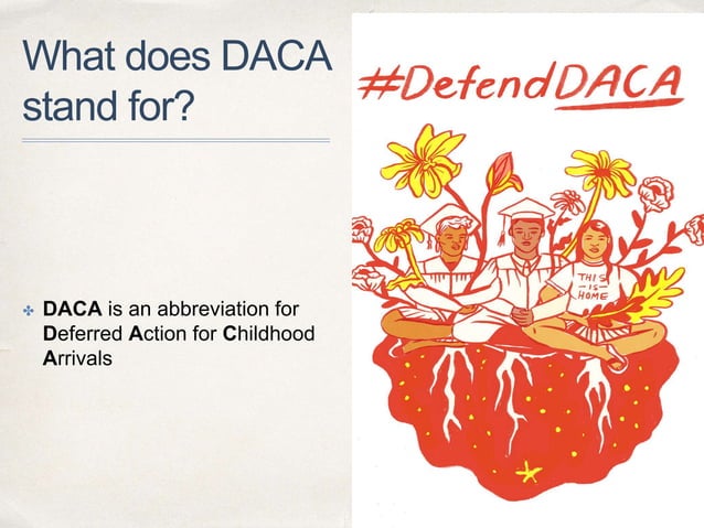 Official daca powerpoint | PPT