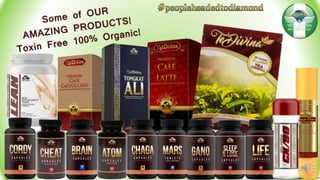Official Vida Divina Nigeria Fast Presentation | PPTX