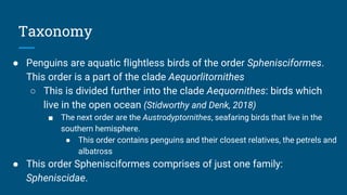 Penguin Presentation | PPTX