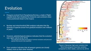 Penguin Presentation | PPTX