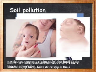 Official pollution | PPT