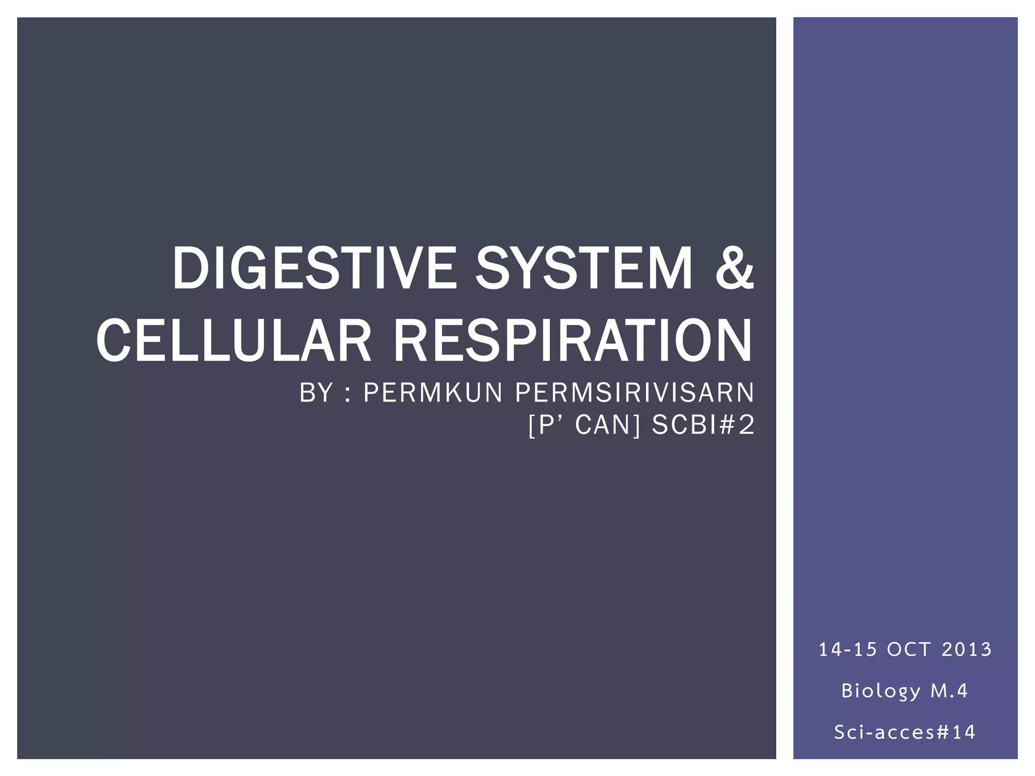 sci access 14th : presentation digestive system & cellular respiration ...