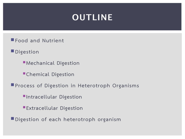 sci access 14th : presentation digestive system & cellular respiration ...