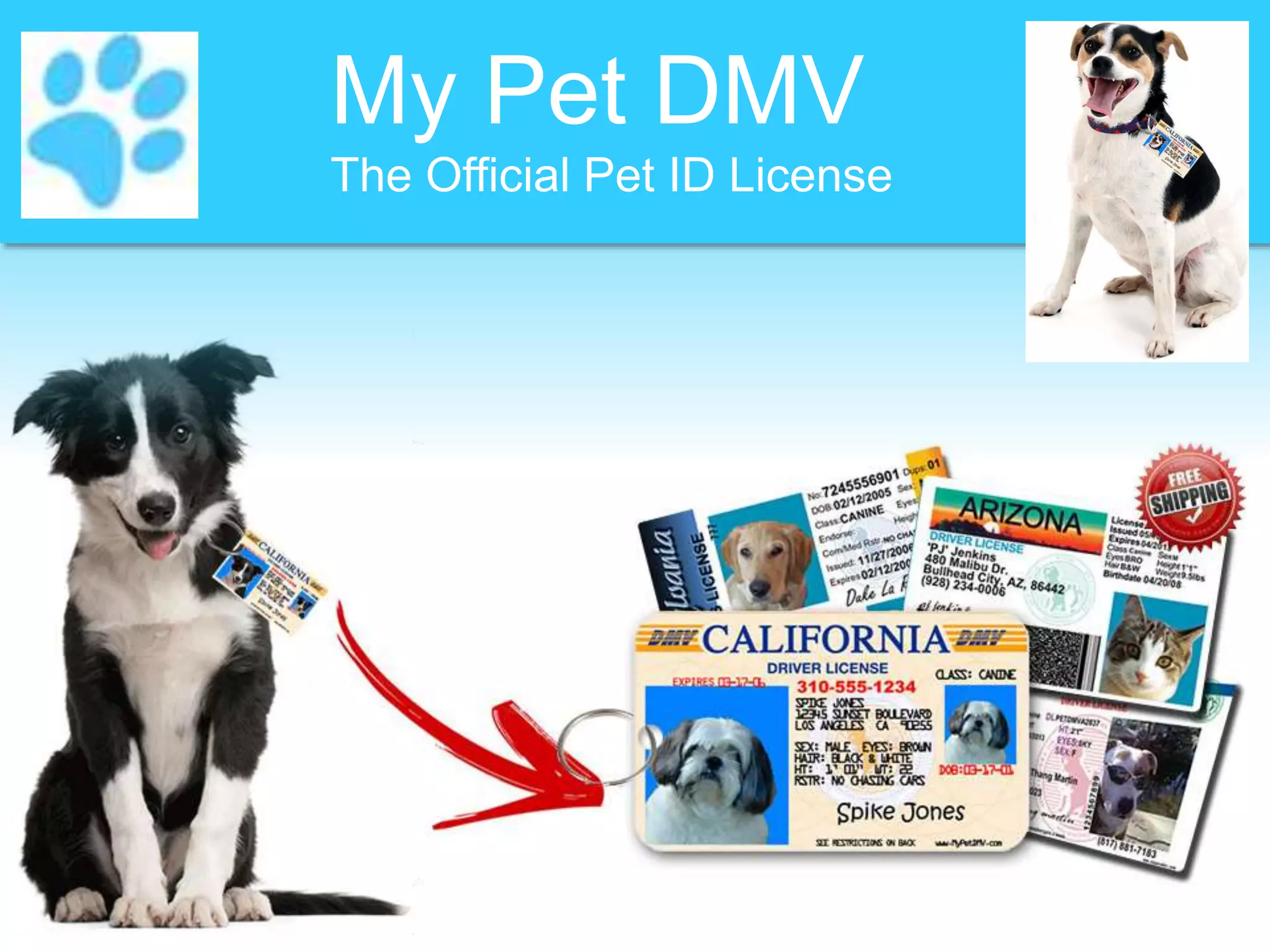 Official USA Made Drivers License ID For Dogs | My Pet DMV | PPTX | Pets