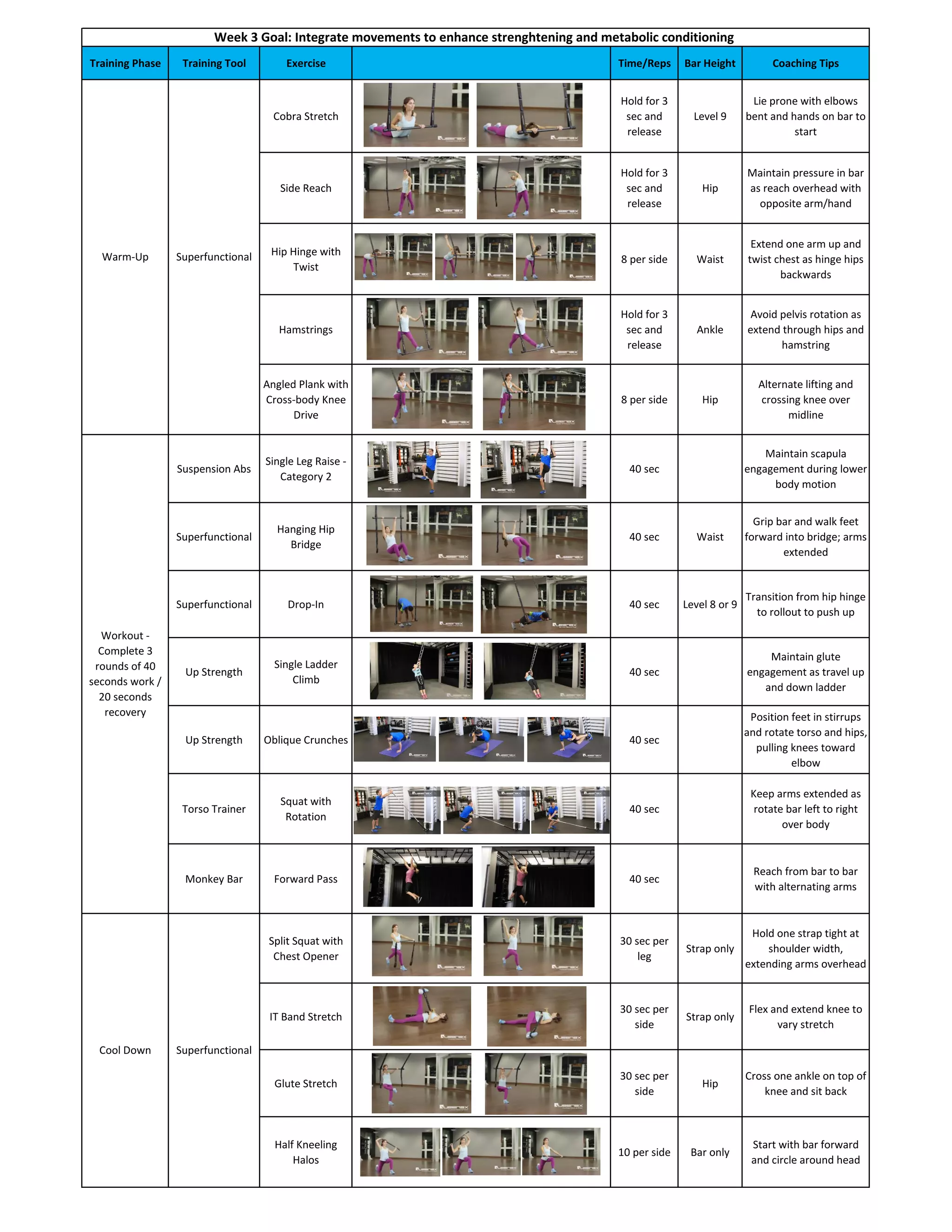 Off season conditioning for the swimmer | PDF