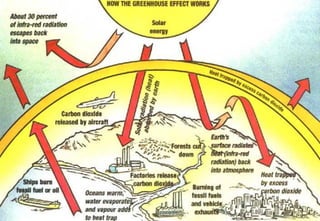 Offsetting Principles and The CDM, JI Basics | PPT