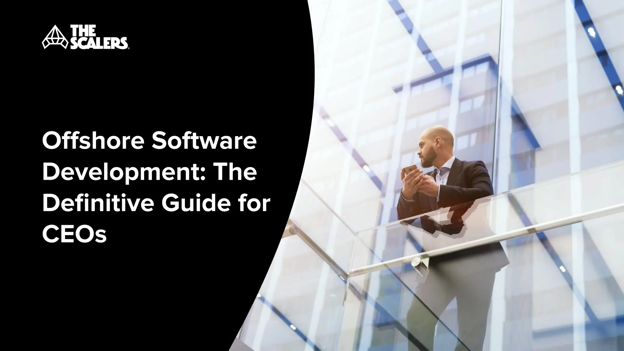 A CEOs guide to the world of offshore software development | PPT